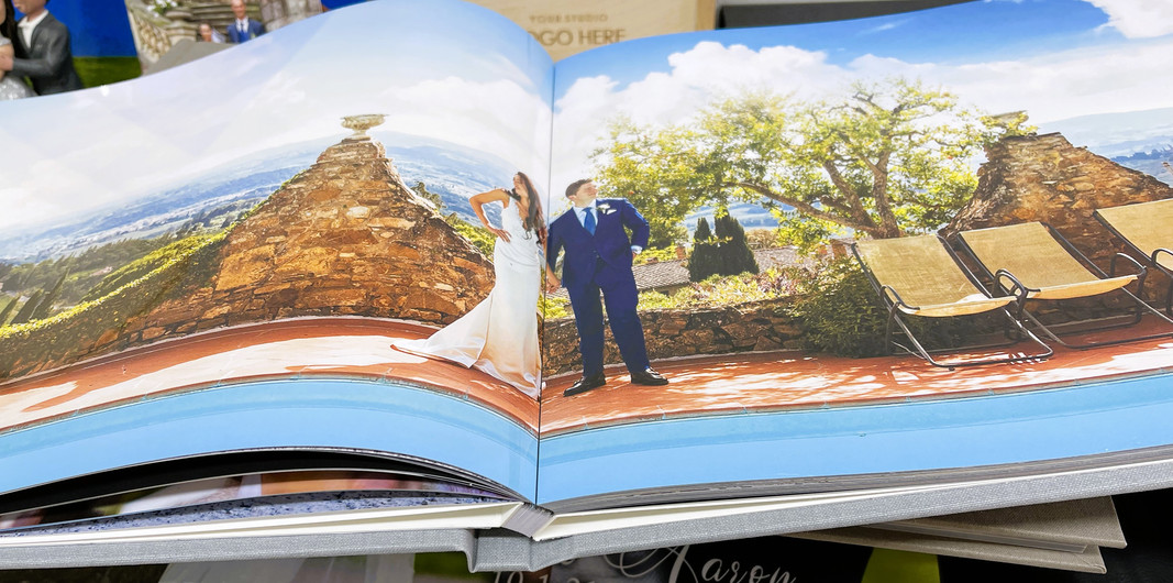 Fine Art Albums | Slim Book